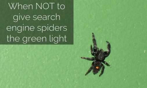 When and How to Block Content from Search Engine Spiders