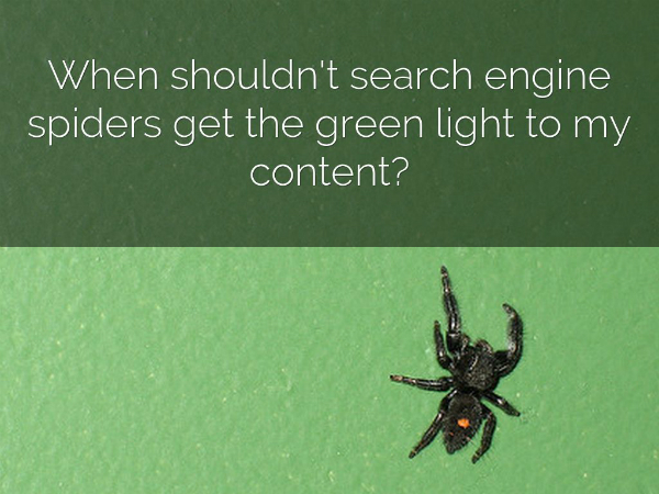 BruceClay - When and How to Block Content from Search Engine Spiders