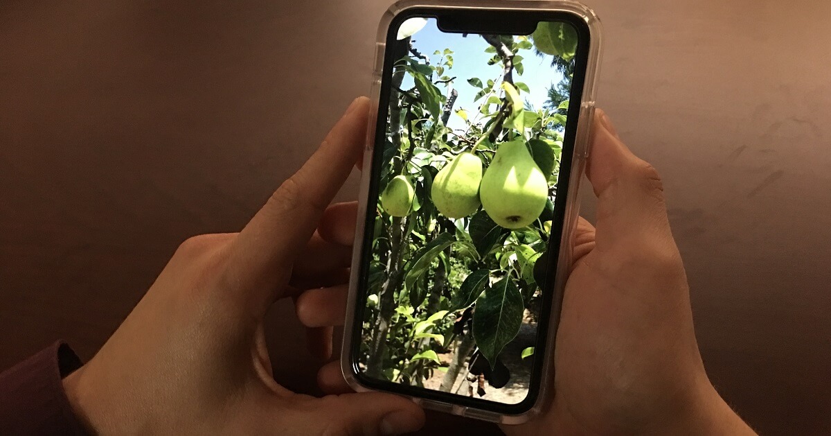 BruceClay - How to Improve Google Image Search Ranking