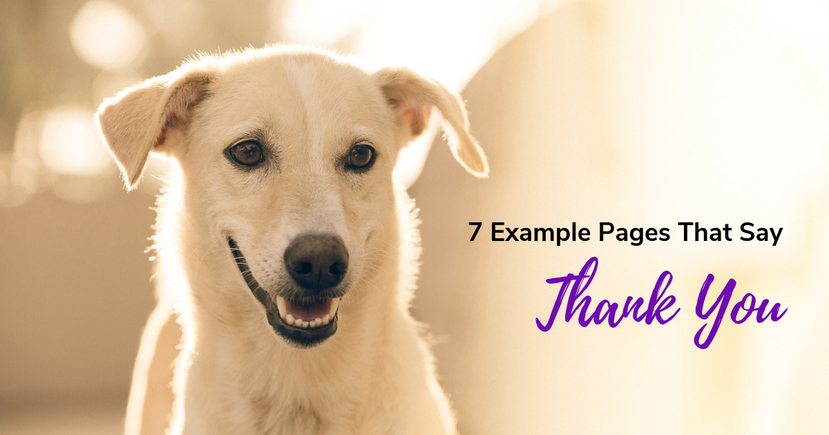 7 Newsletter Thank You Page Examples That Got It Right - BruceClay